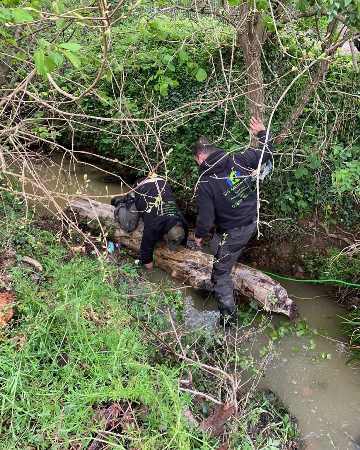Fallen Tree Removal - SJG Maintenance