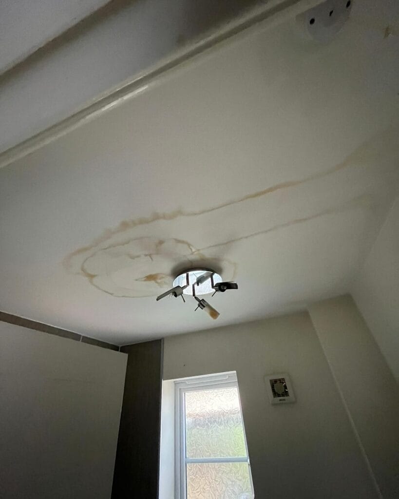 Ceiling Restoration - SJG Maintenance